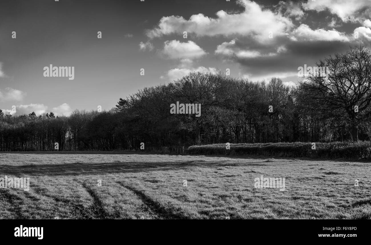 Natural open grass land Black and White Stock Photos & Images - Alamy