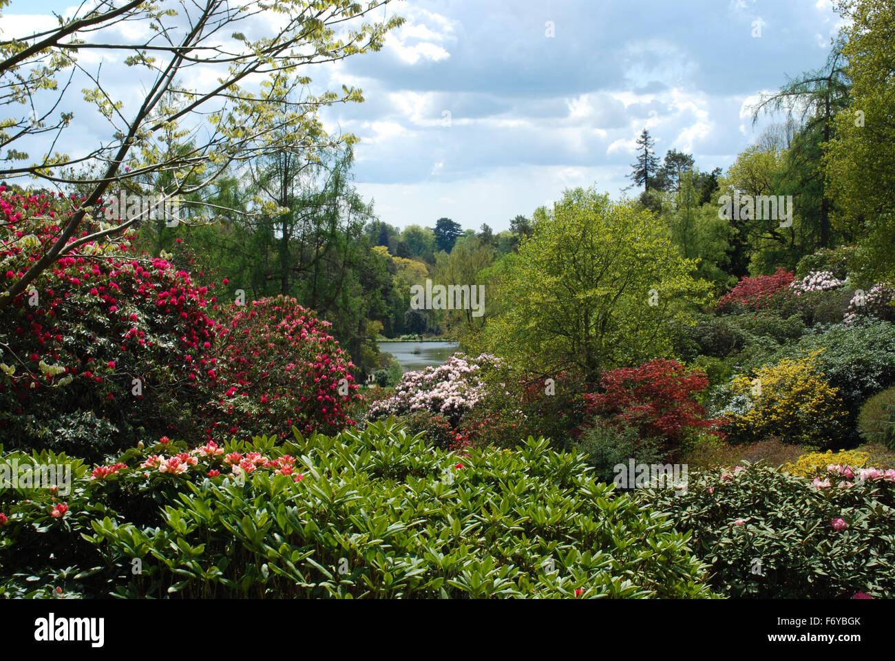 Gardens leonardslee hi-res stock photography and images - Alamy