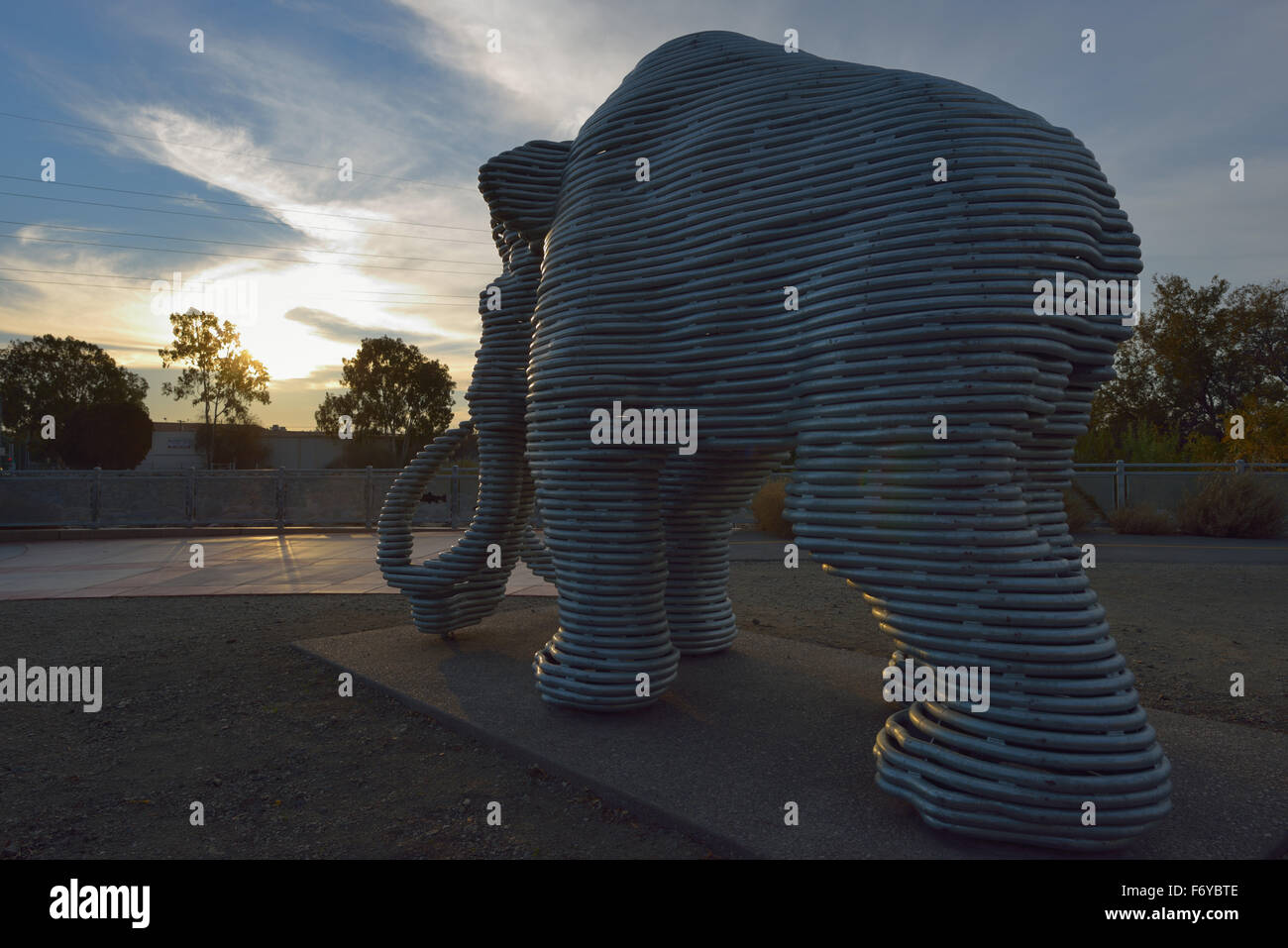 Lupe the Colombian Mammoth, San Jose CA Stock Photo - Alamy