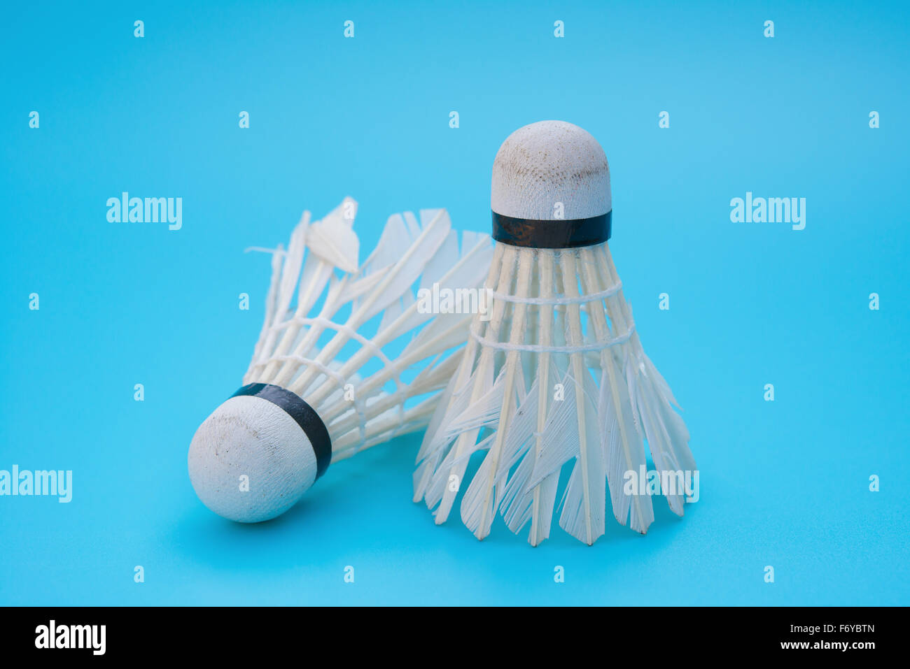 two used shuttlecocks on a blue background Stock Photo - Alamy