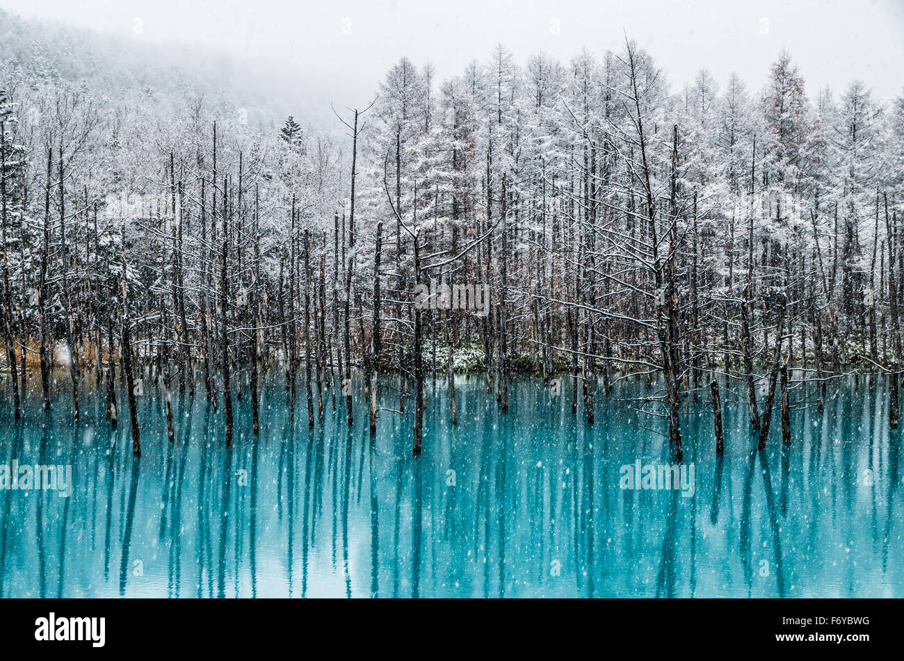 Blue Pond is a man-made water feature in Biei, Hokkaido, Japan. It is ...