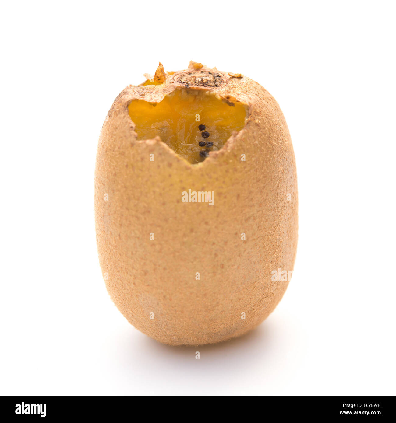fresh kiwi eaten by insect stands up on white Stock Photo - Alamy