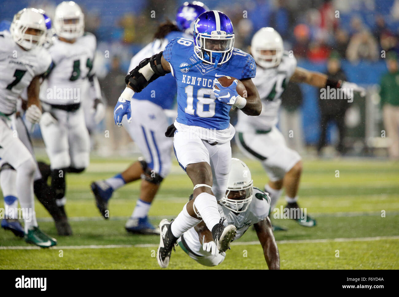 University of kentucky wildcats football hi-res stock photography and ...