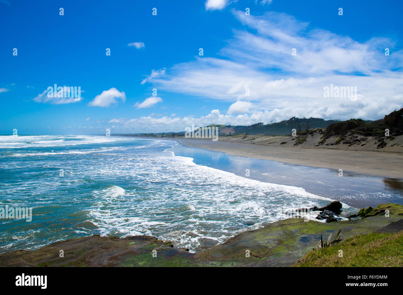 Muriwai Beach which is located at Muriwai Regional Park,it is on the ...