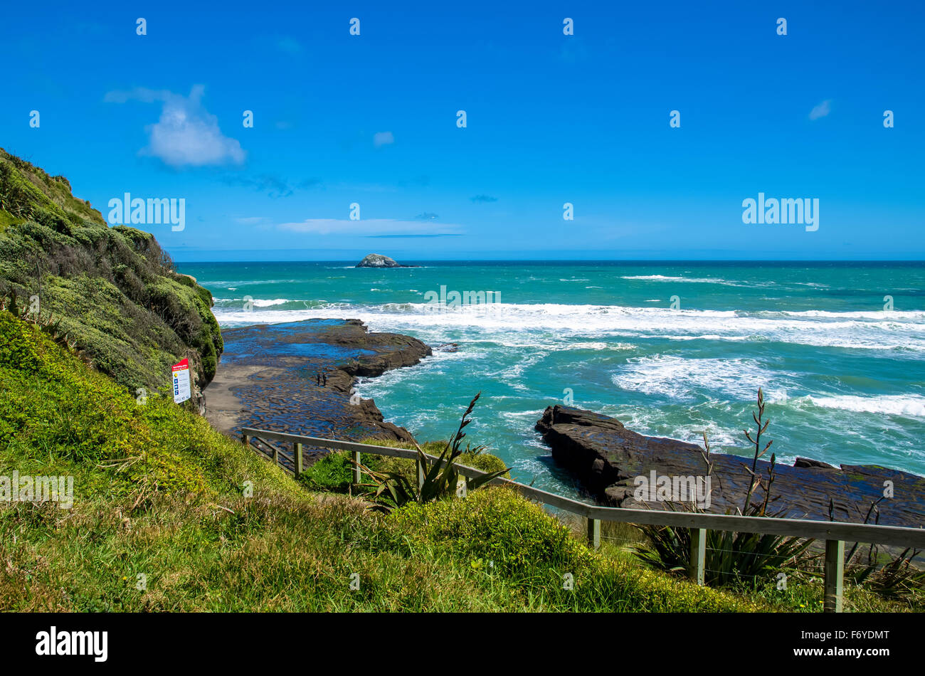Muriwai Gannet Colony which is located at Muriwai Regional Park Stock ...