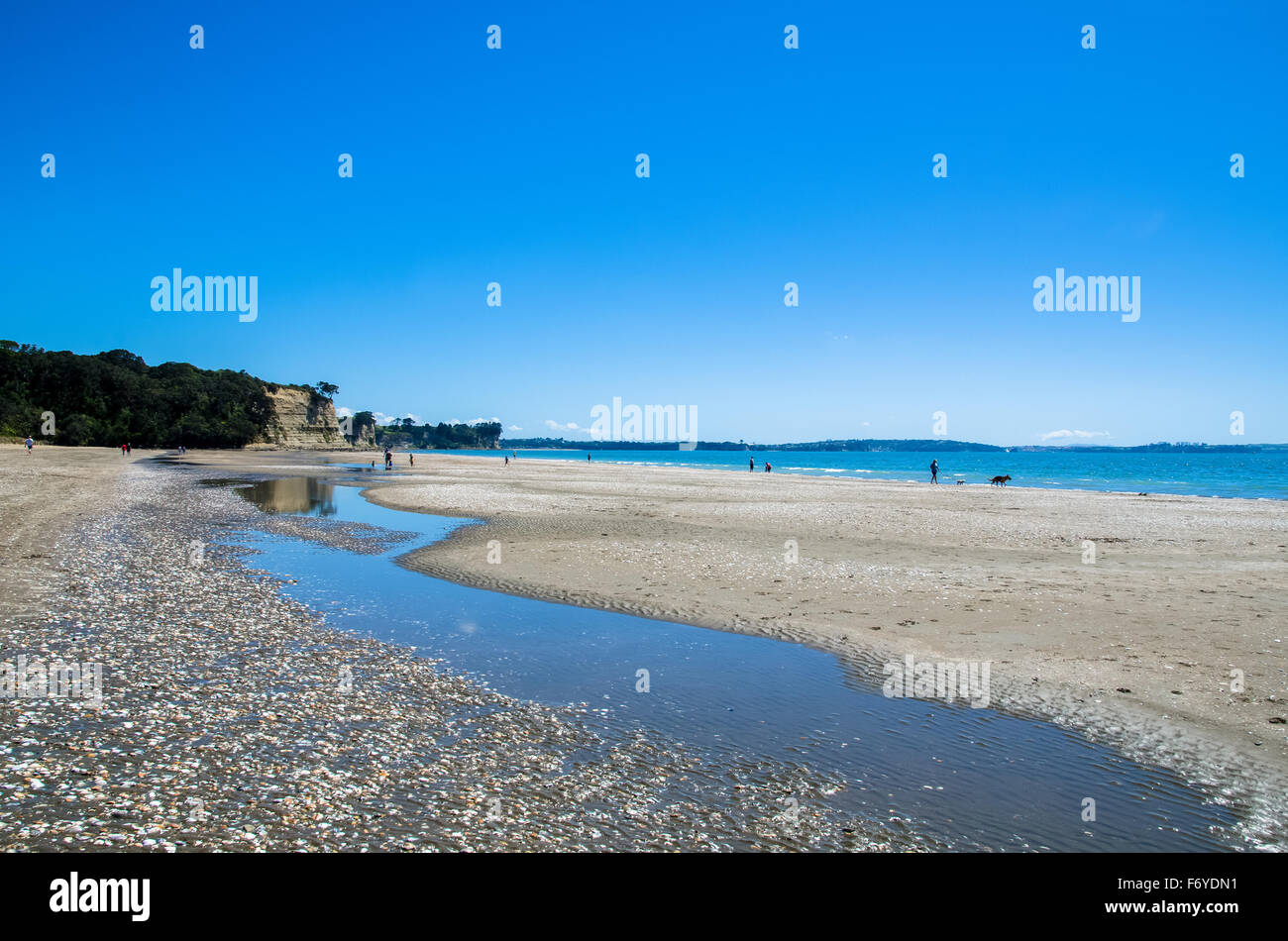 Long Bay Regional Park in Auckland,New Zealand Stock Photo - Alamy