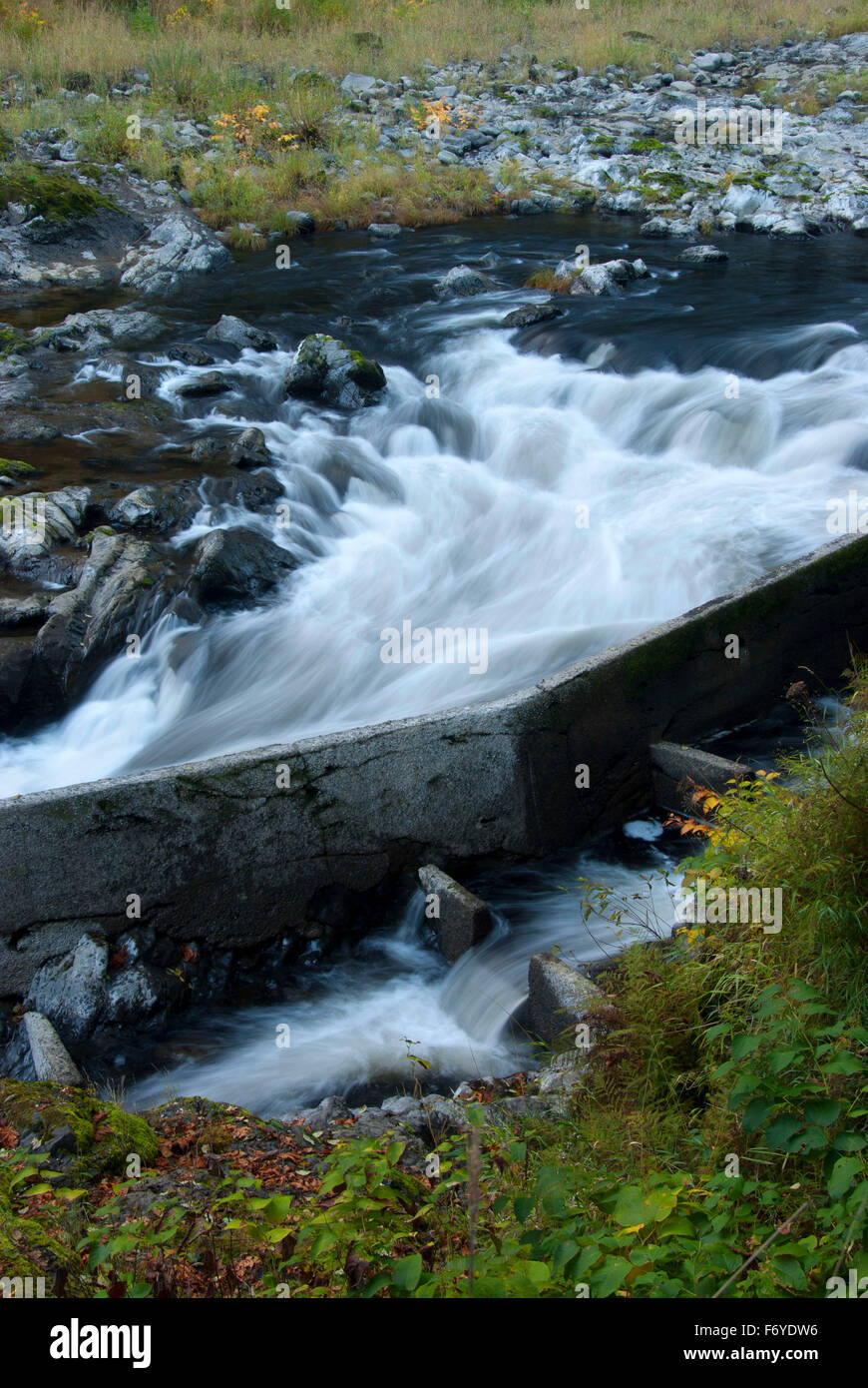 Nehalem River Falls with fish ladder, Nehalem River State Scenic ...