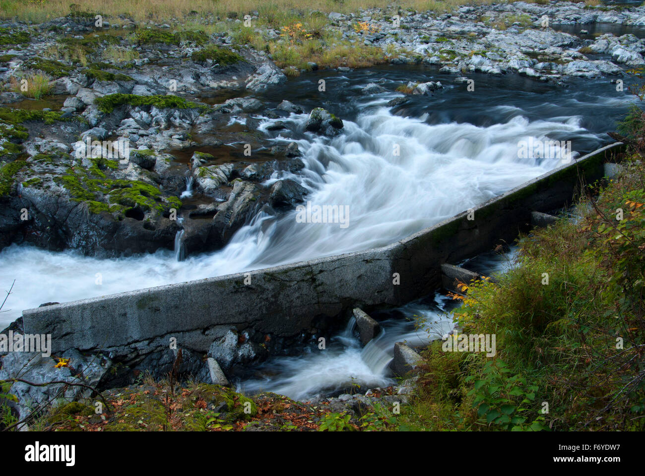 Nehalem River Falls with fish ladder, Nehalem River State Scenic ...
