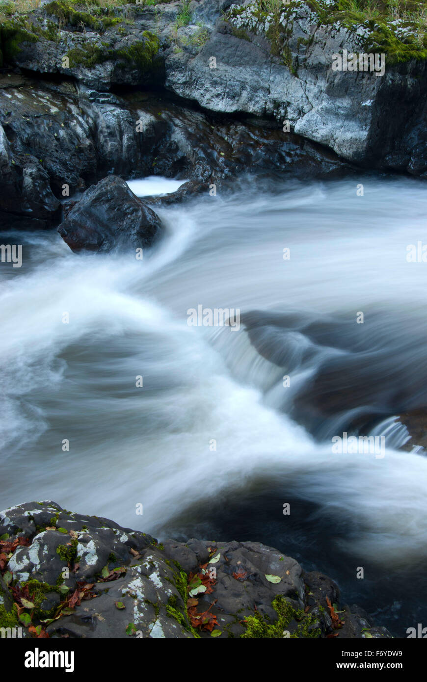 Nehalem River High Resolution Stock Photography and Images - Alamy