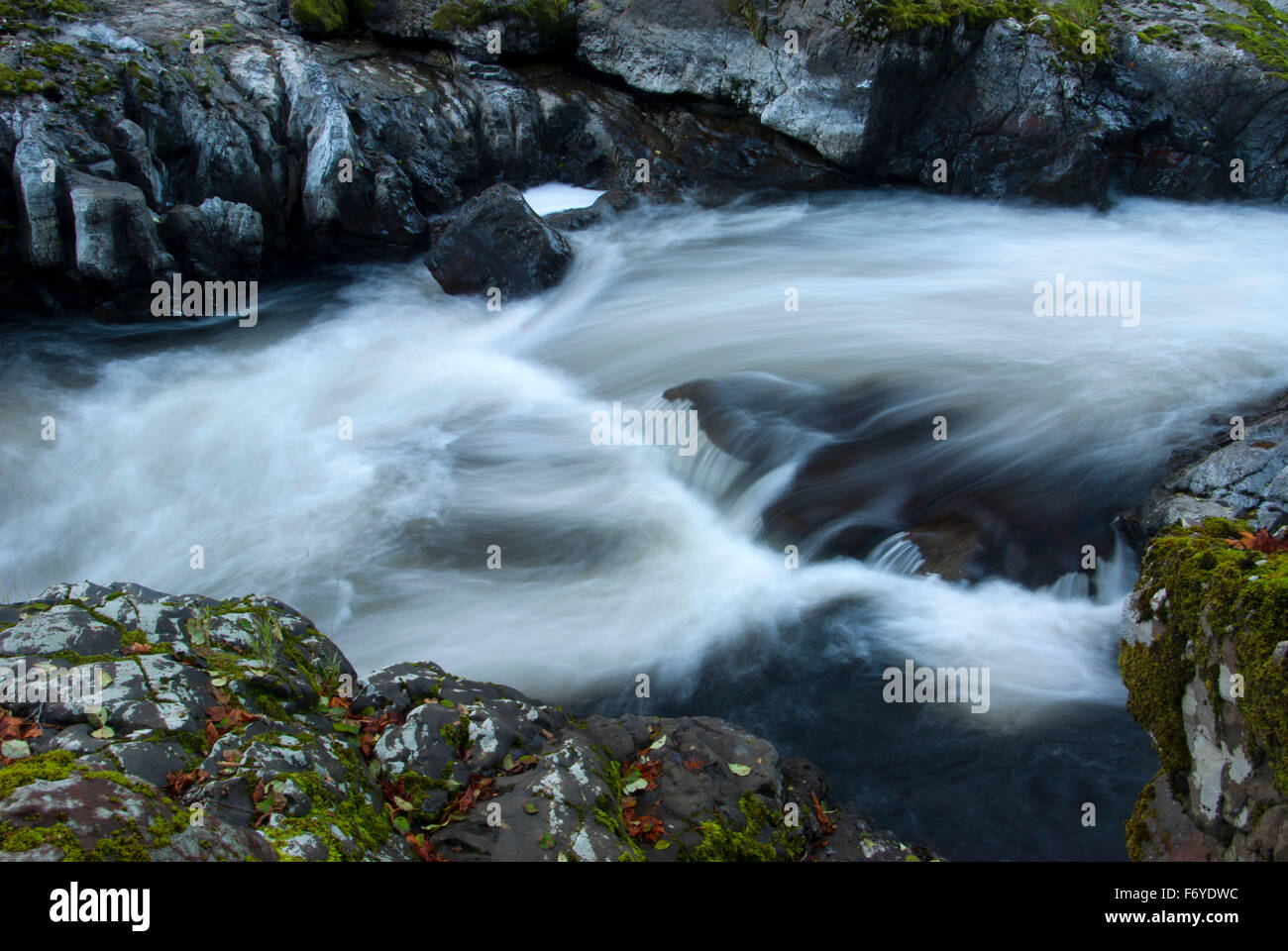 Cascade at Nehalem River Falls, Nehalem River State Scenic Waterway ...