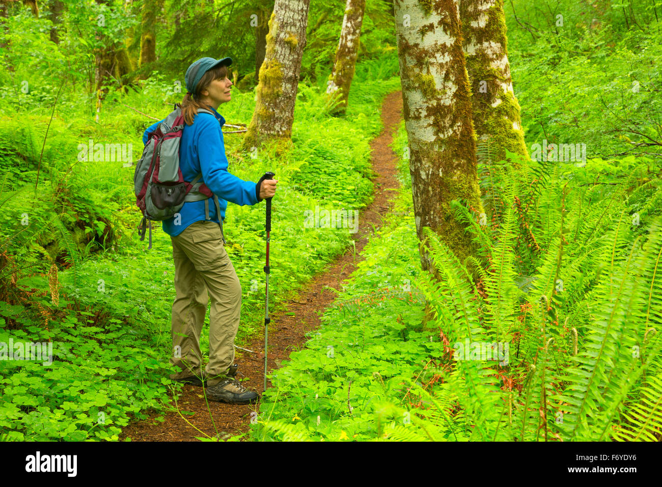 Bloom lake trail hi-res stock photography and images - Alamy