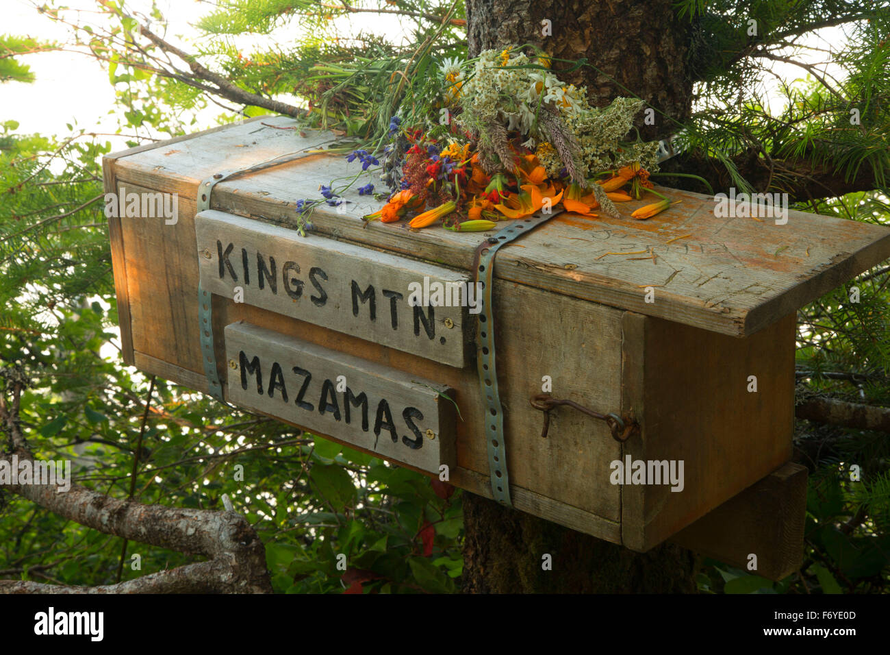 Kings Mountain summit sign, Tillamook State Forest, Oregon Stock Photo ...