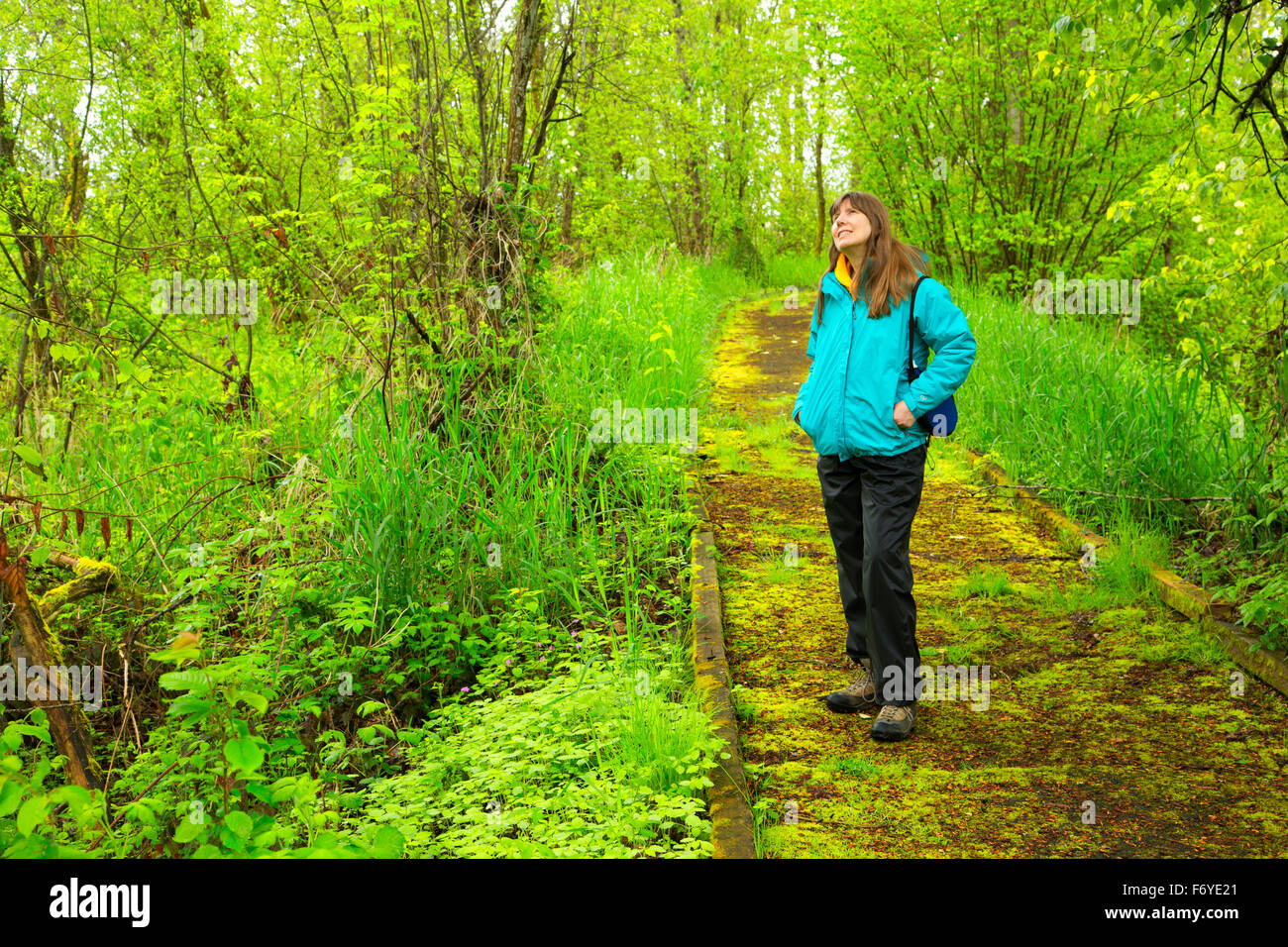 Scappoose bay oregon hi-res stock photography and images - Alamy