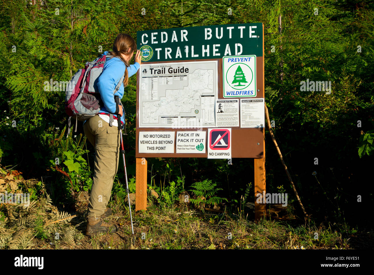 Cedar Butte Trail trailhead, Tillamook State Forest, Oregon Stock Photo ...