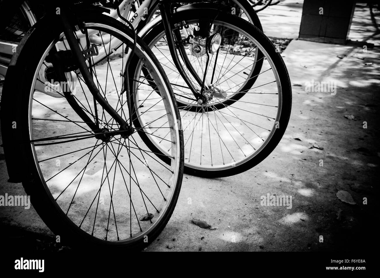bicycle wheel on road Stock Photo - Alamy