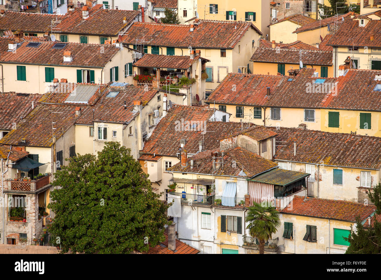 Detail view of traditional Italian town roofs and houses, Lucca, Italy ...