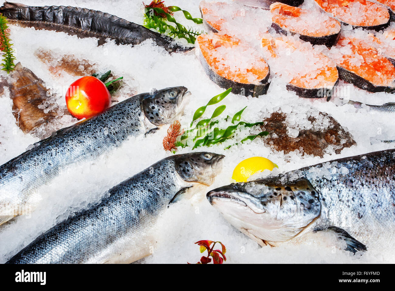 fish on ice Stock Photo - Alamy
