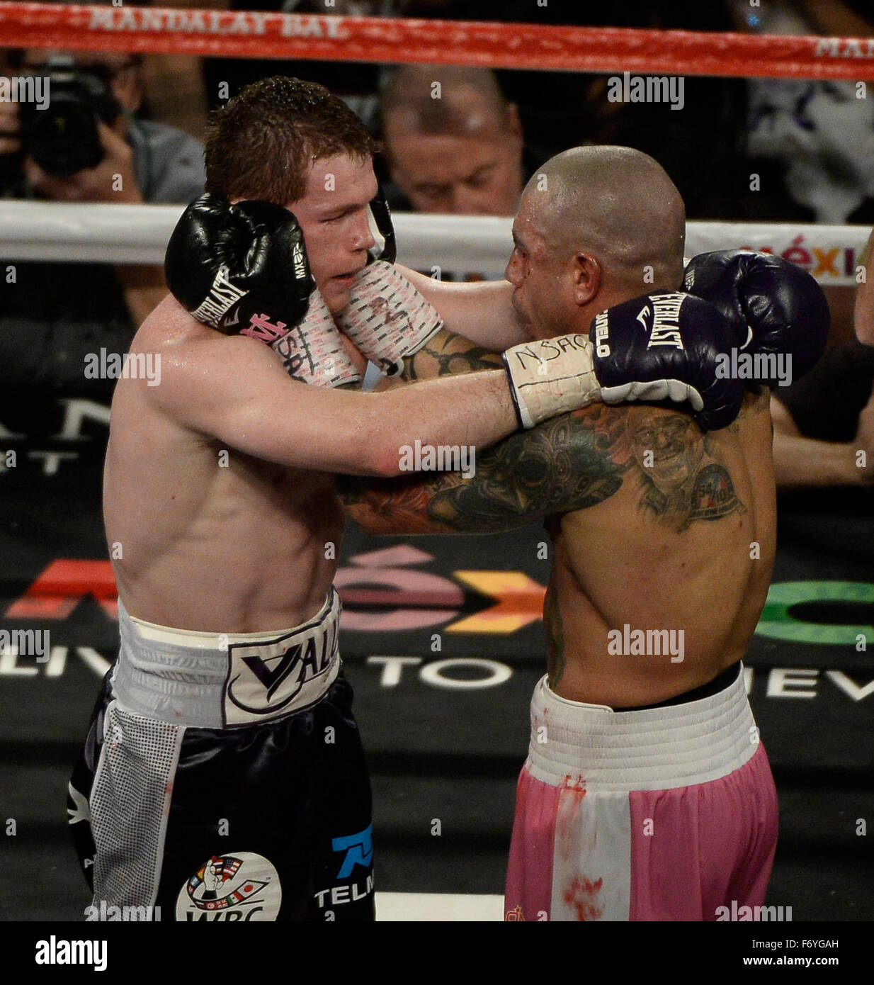 Jose Miguel Cotto Vs Canelo Alvarez