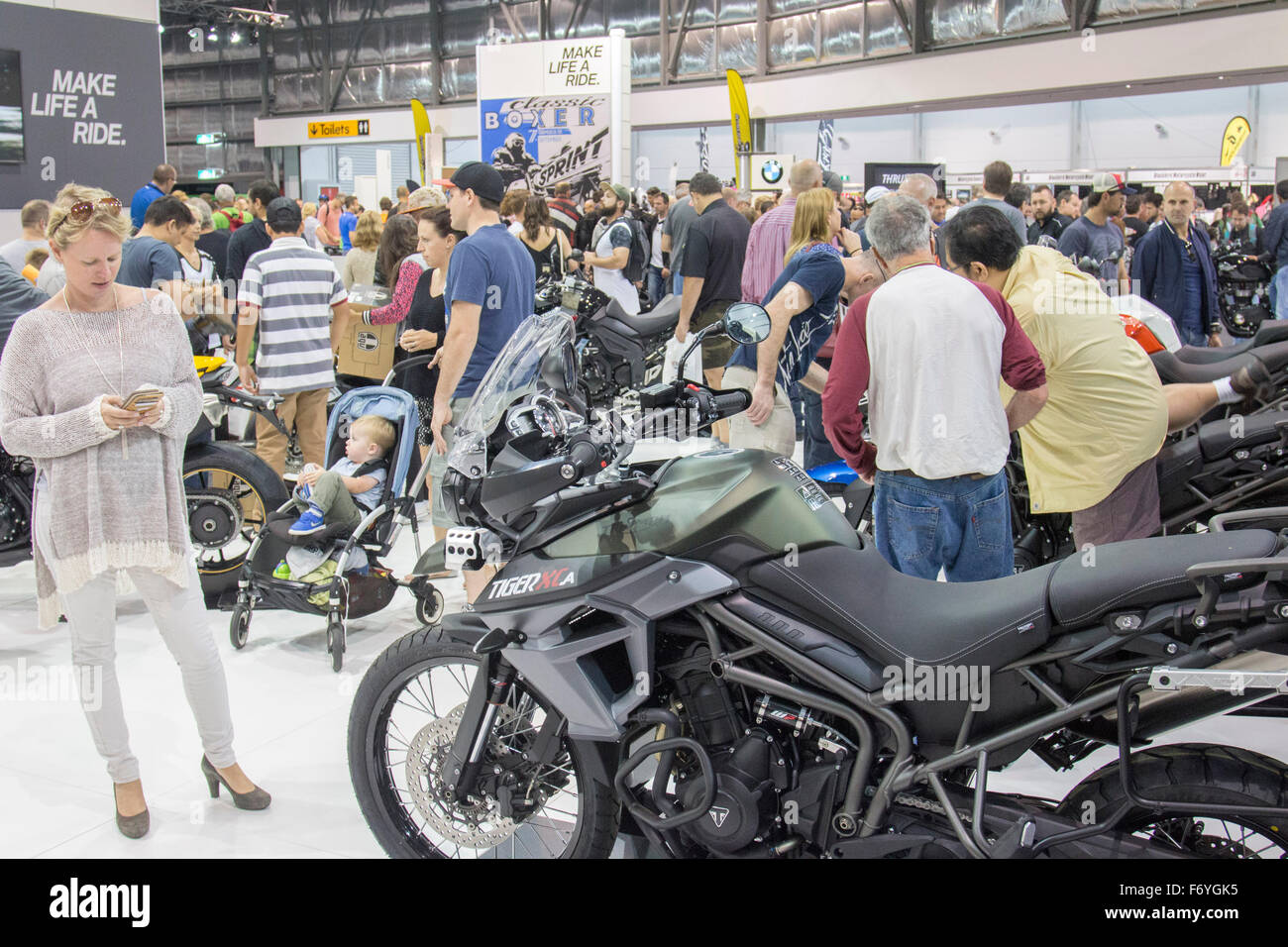 Triumph tiger hi-res stock photography and images - Alamy