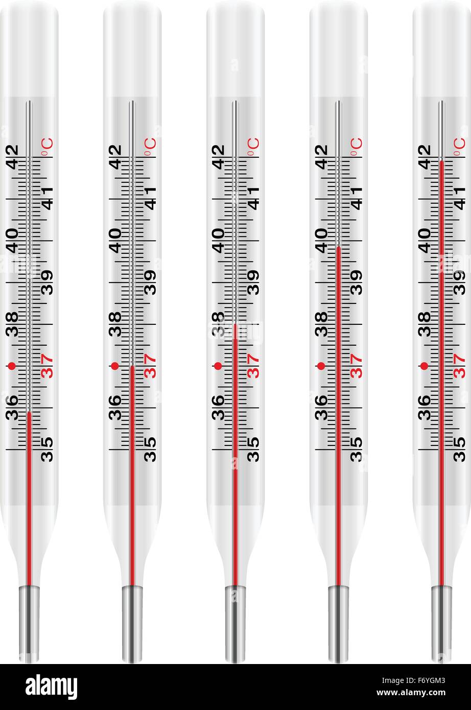 Medical thermometer set isolated on a white background Stock Vector ...