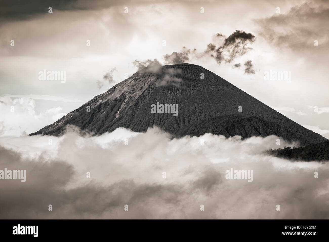 Ash cloud rising at Semeru Volcano Mountain, East Java, Indonesia ...