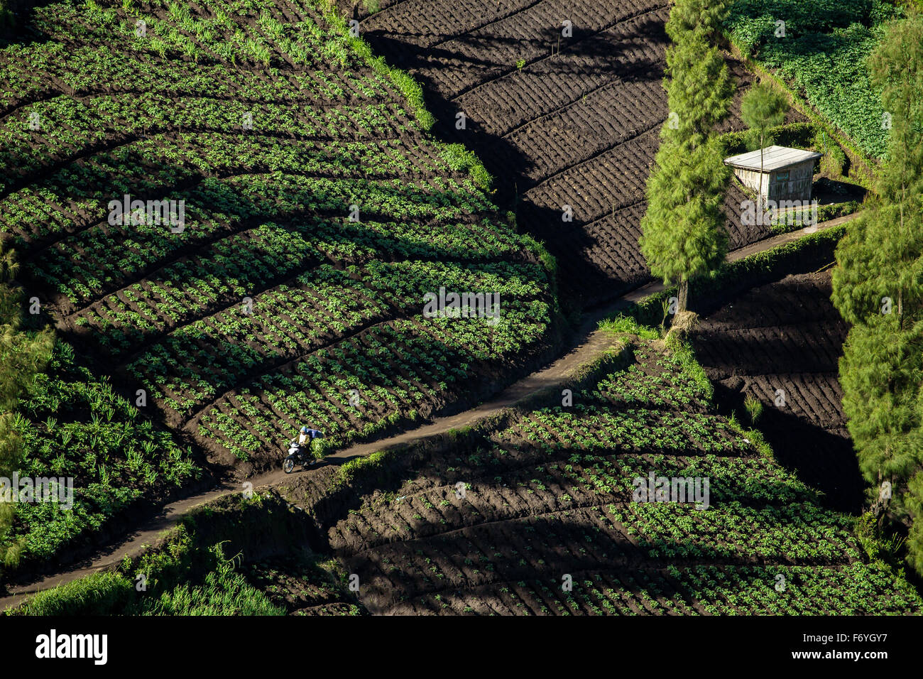 Agriculture background hi-res stock photography and images - Alamy