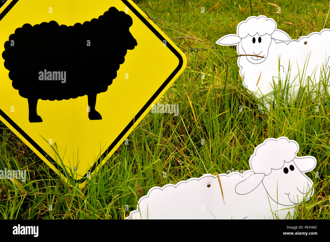 Social Lamb High Resolution Stock Photography and Images - Alamy