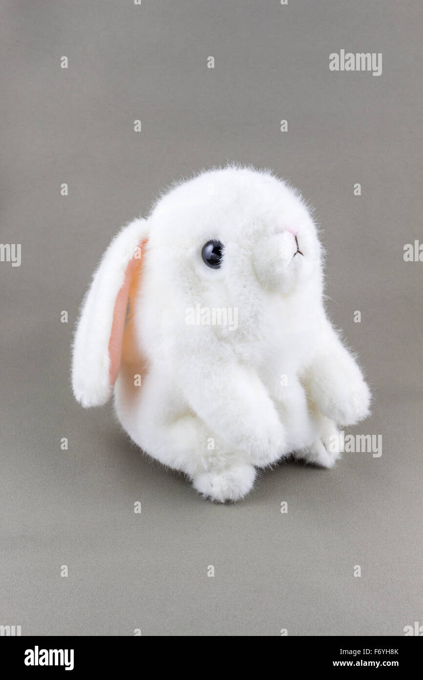 White teddy rabbit hi-res stock photography and images - Alamy
