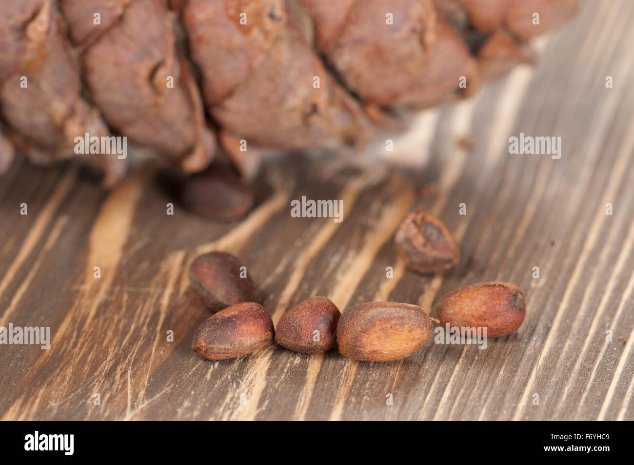 Up board cedar nut hi-res stock photography and images - Alamy
