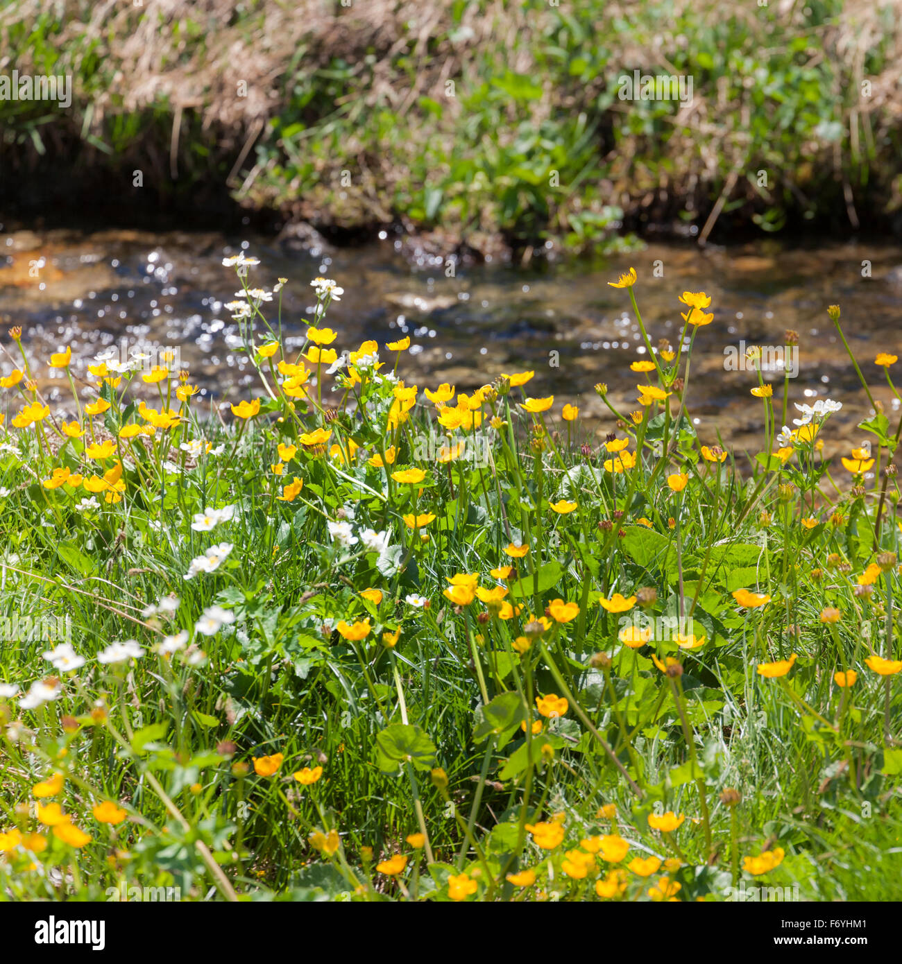 Pyrenean scenery hi-res stock photography and images - Alamy