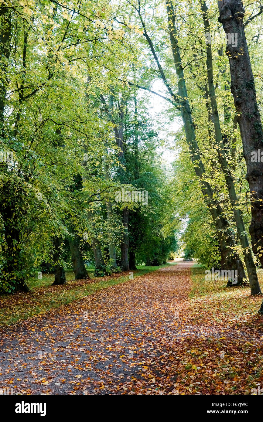 Castle Howard Gardens North Yorkshire in Howardian Hills Stock Photo ...