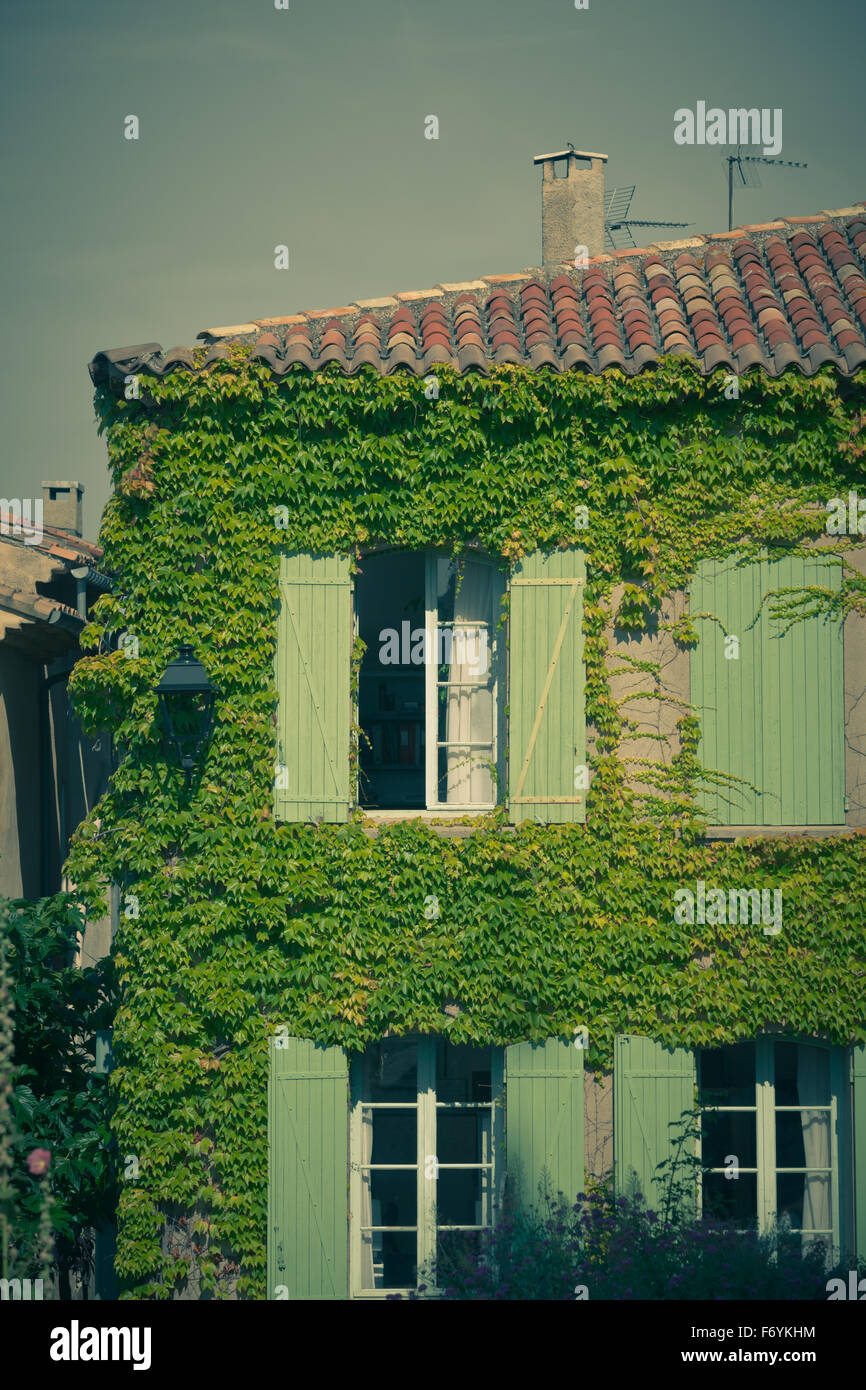 Overgrown wall of residential building facade with windows. Retro ...