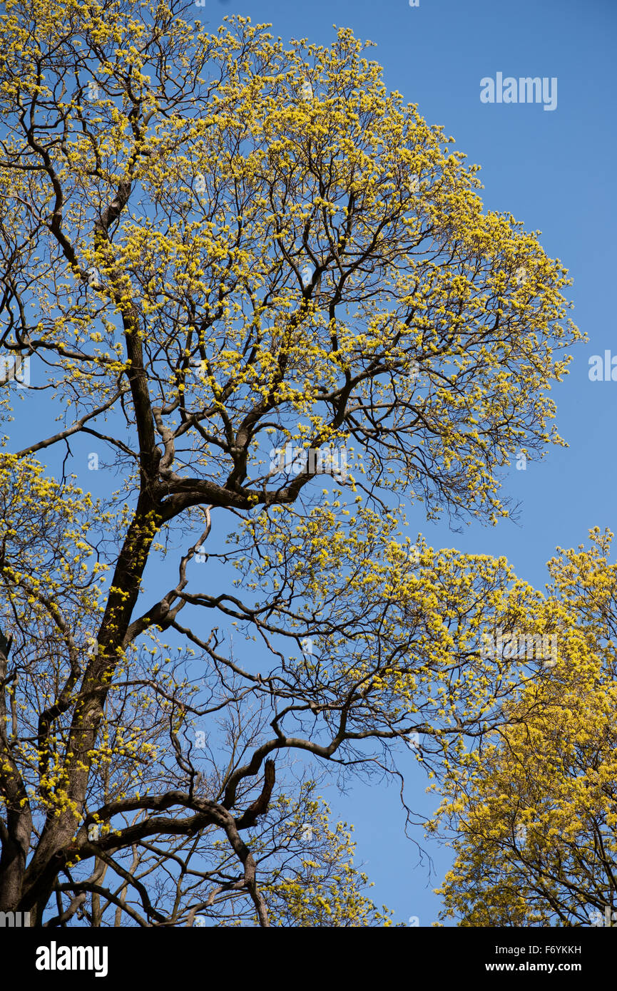 Polarizing filter compare hi-res stock photography and images - Alamy