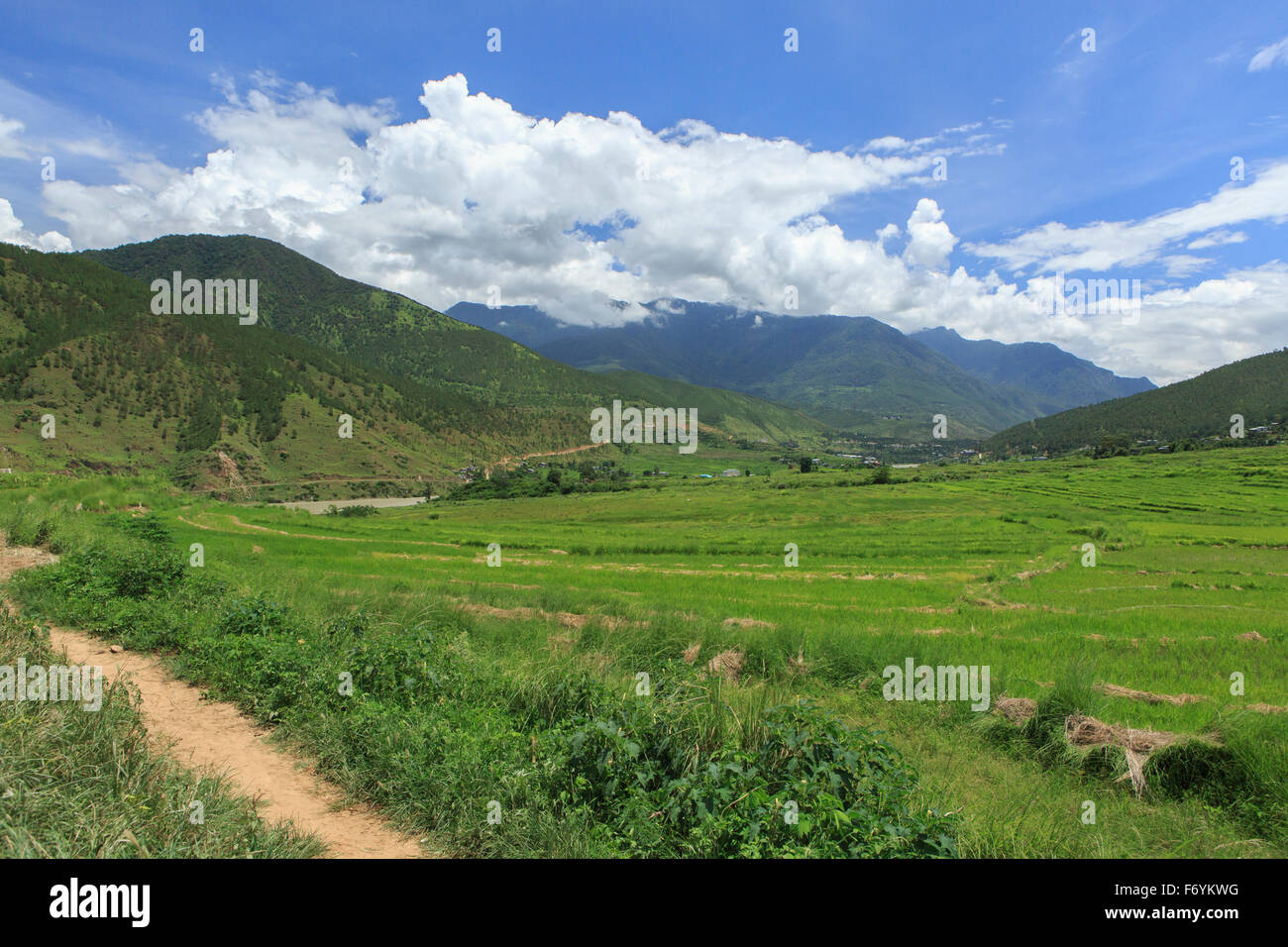 Punakha Valley Bhutan Stock Photo Alamy