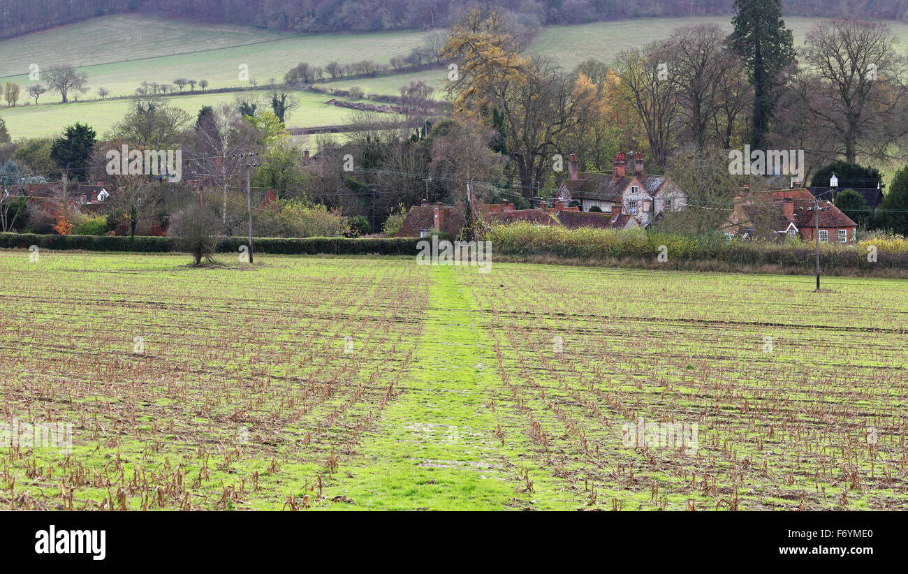 An English Rural Landscape in the Chiltern Hills in early winter with ...