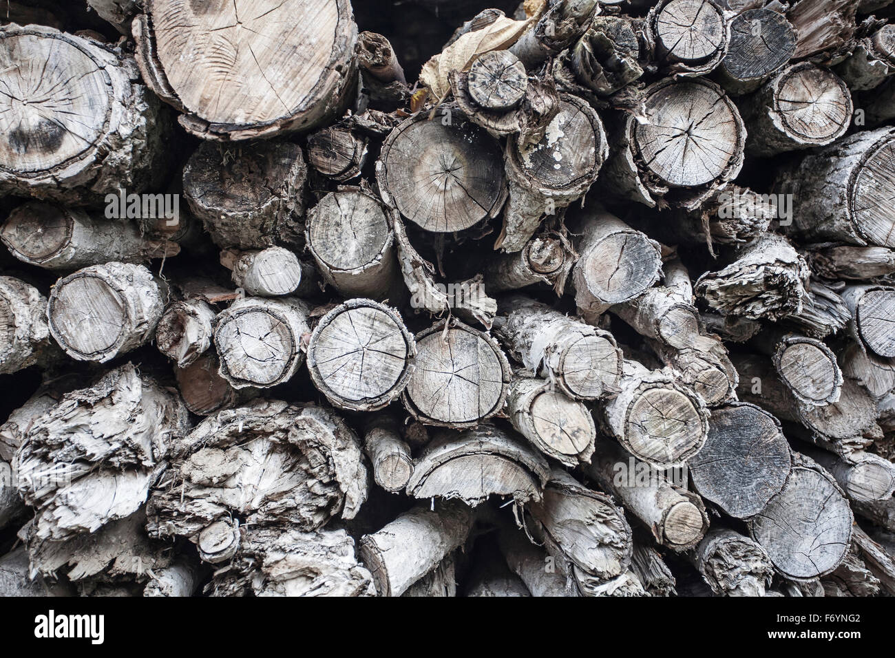 Wooden wall from chopped rotten logs Stock Photo - Alamy