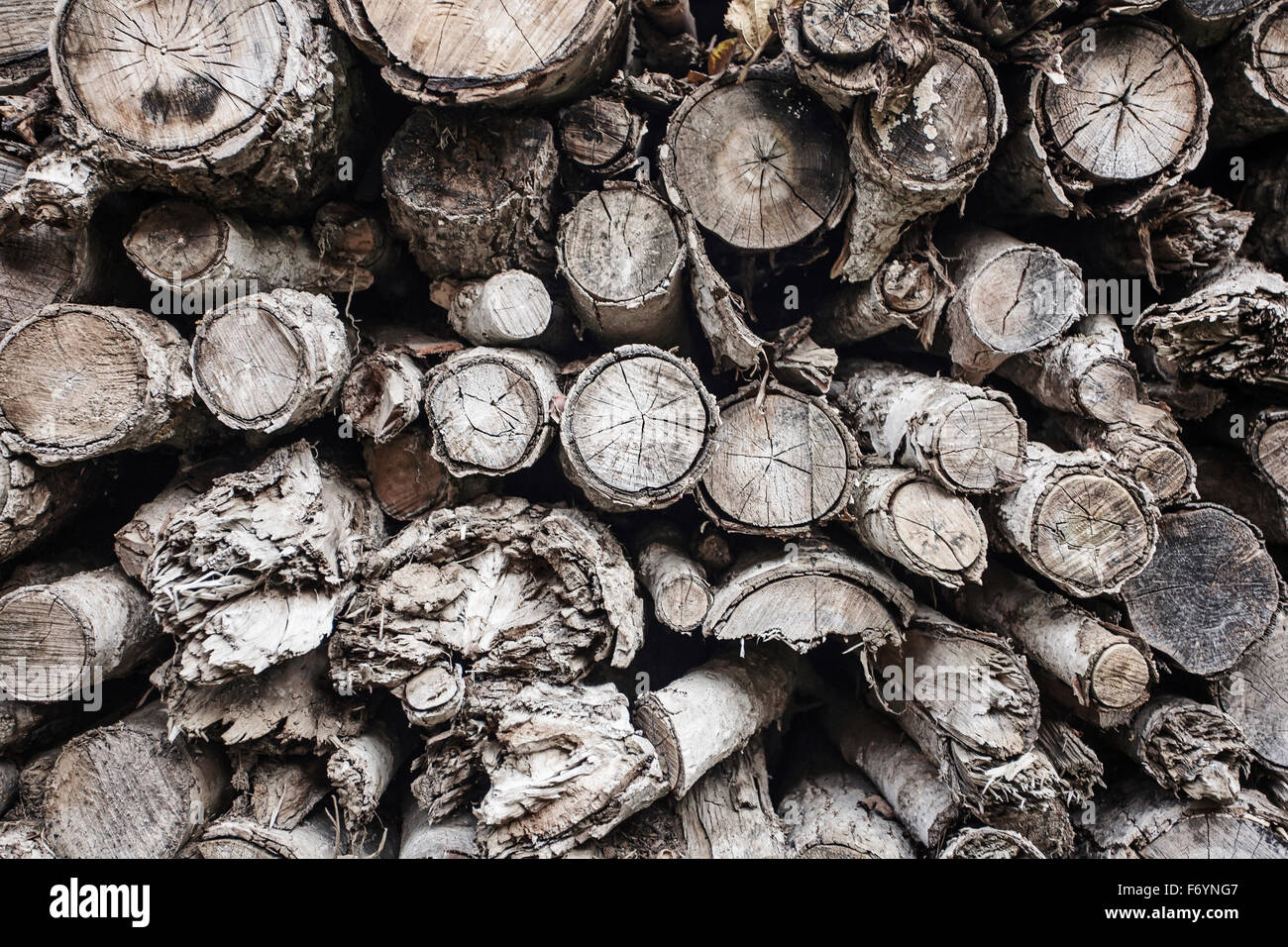Wooden wall from chopped rotten logs Stock Photo - Alamy