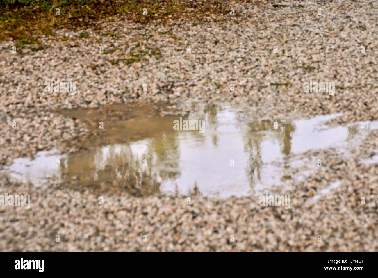 Puddle of water and raindrops Stock Photo - Alamy
