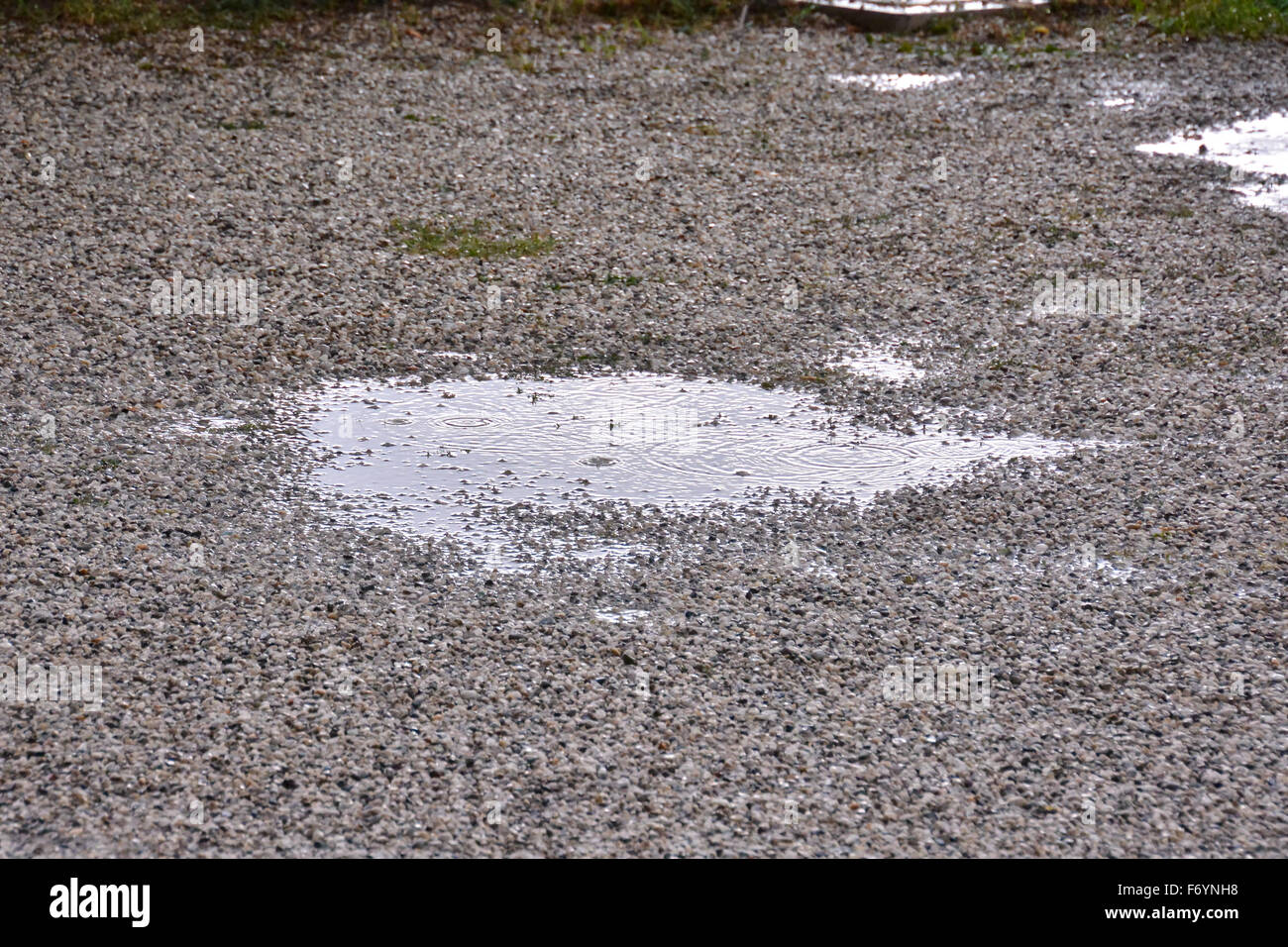 Puddle of water and raindrops Stock Photo - Alamy