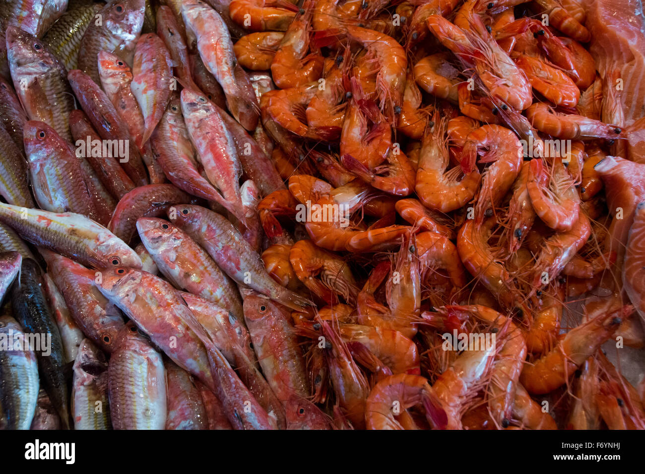A closeup of raw shrimp in a market with small fish Stock Photo - Alamy