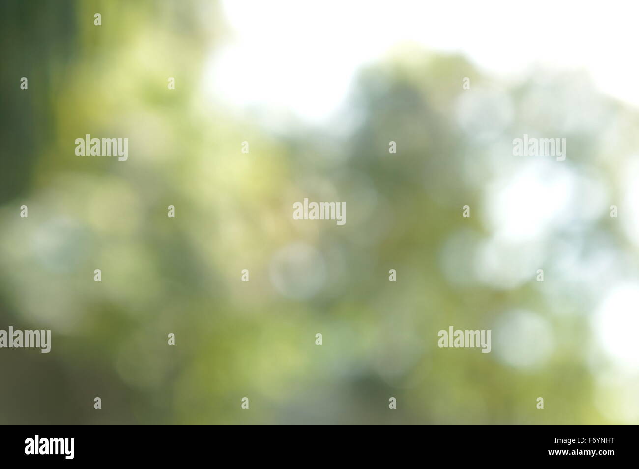 Light blue backgrounds hi-res stock photography and images - Alamy