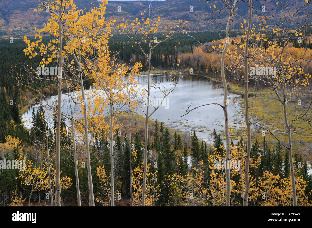 The Devil's Elbow, Yukon, Canada Stock Photo - Alamy