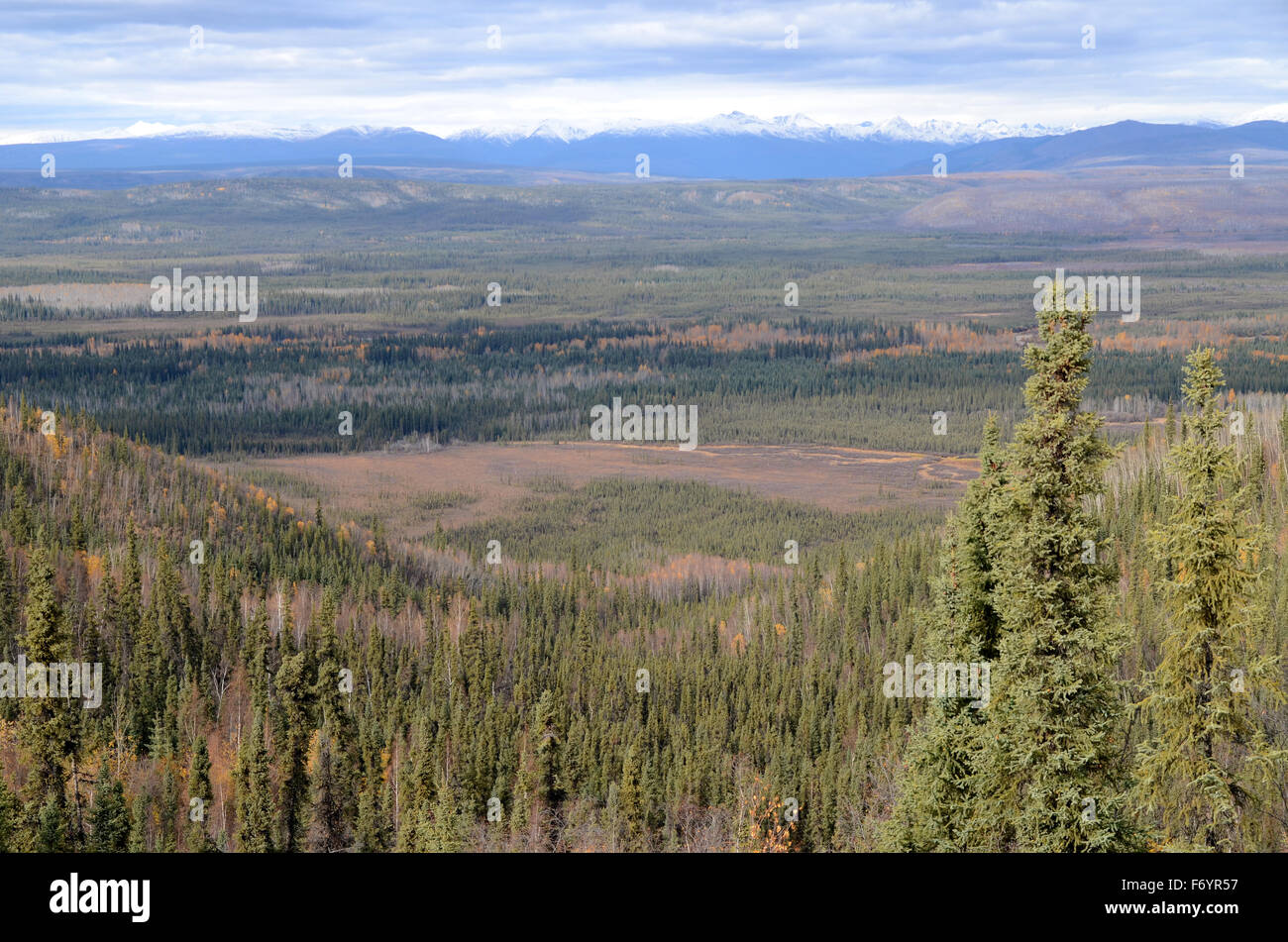 Tintina trench hi-res stock photography and images - Alamy