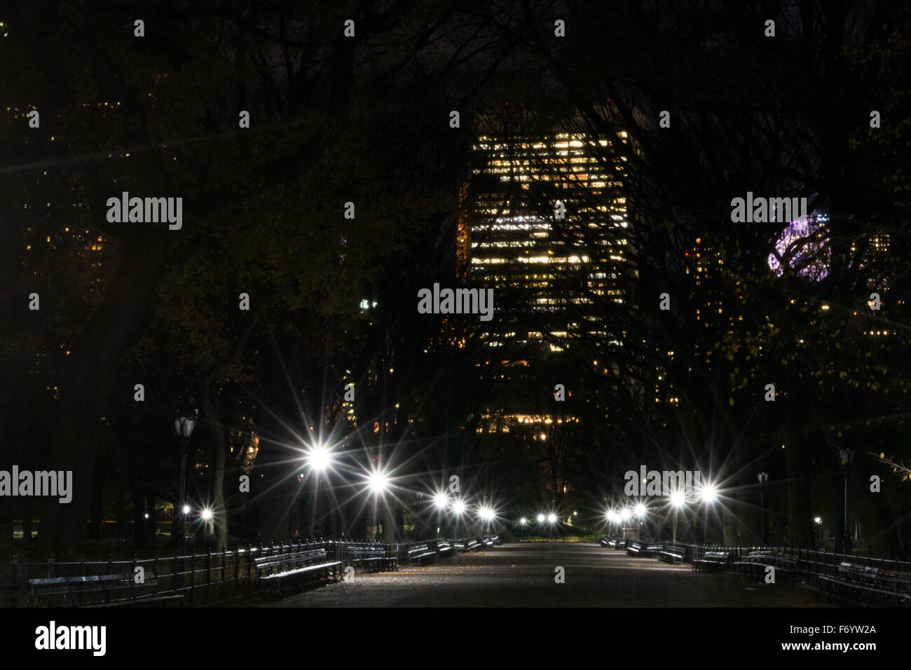 The Mall located in the heart of Central Park contains the largest ...