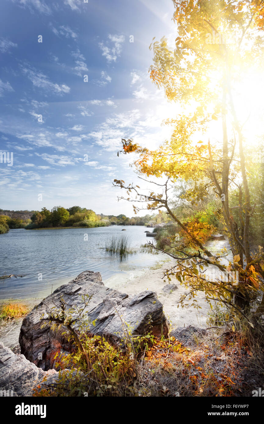 Landscape with rocks and trees on beach under bright sun Stock Photo ...