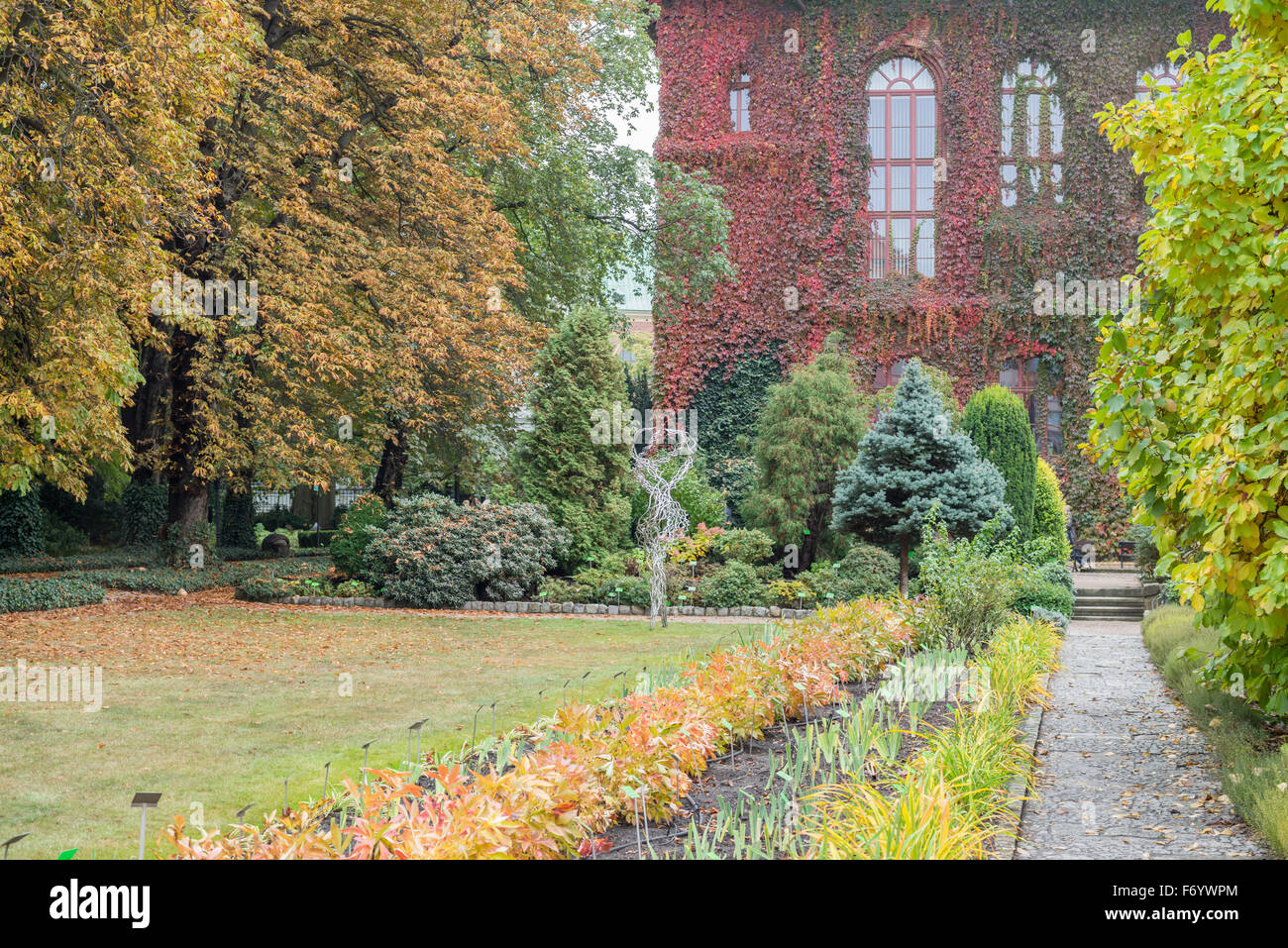 Botanical Gardens at colorful fall Wroclaw Stock Photo - Alamy