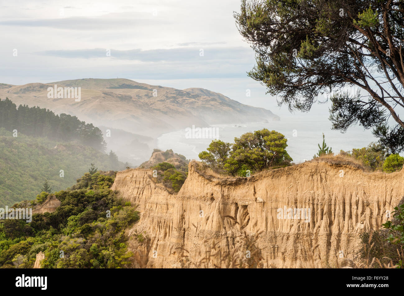 Gore new zealand hi-res stock photography and images - Alamy