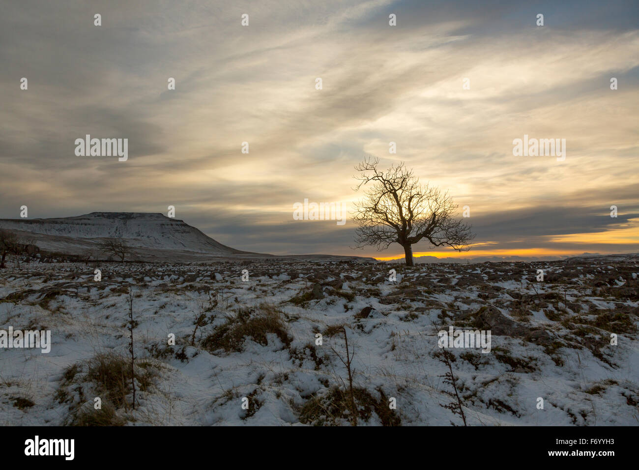 Sunset tree limestone pavement hi-res stock photography and images - Alamy