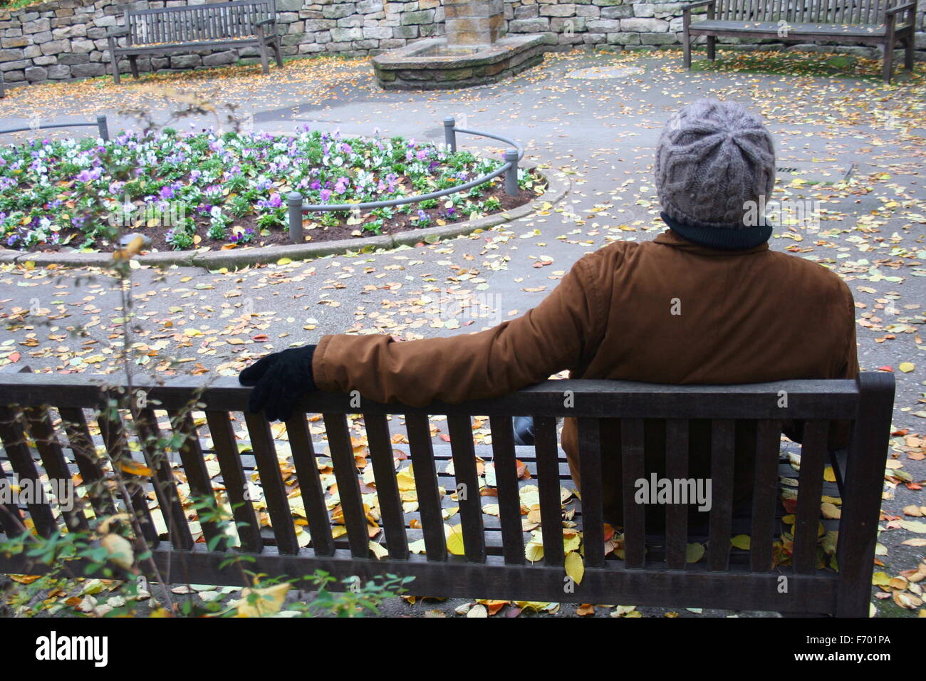 Man sitting on a bench alone in autumn, Germany Stock Photo - Alamy