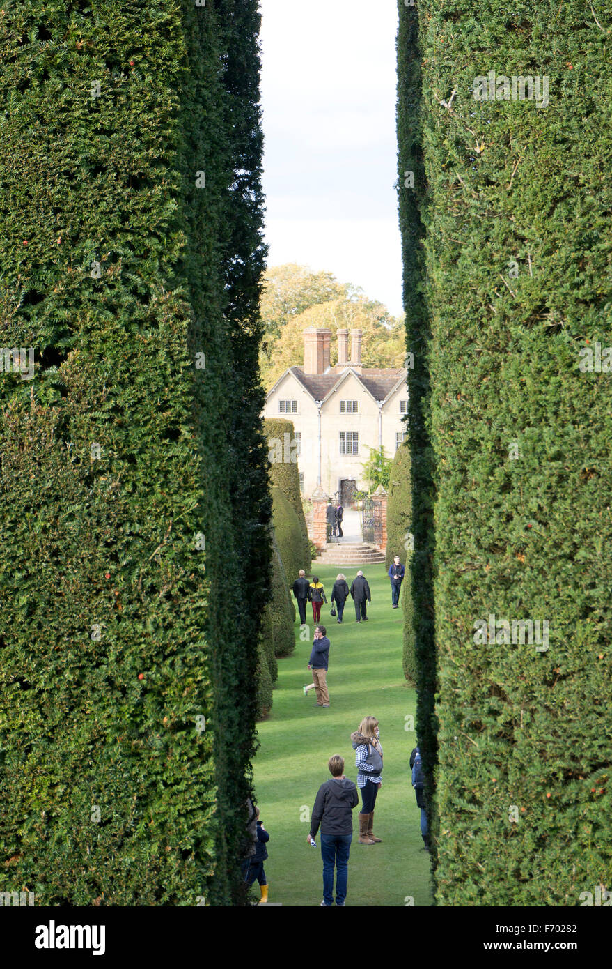 Tudor, timber framed manor house and garden with yew trees Stock Photo ...